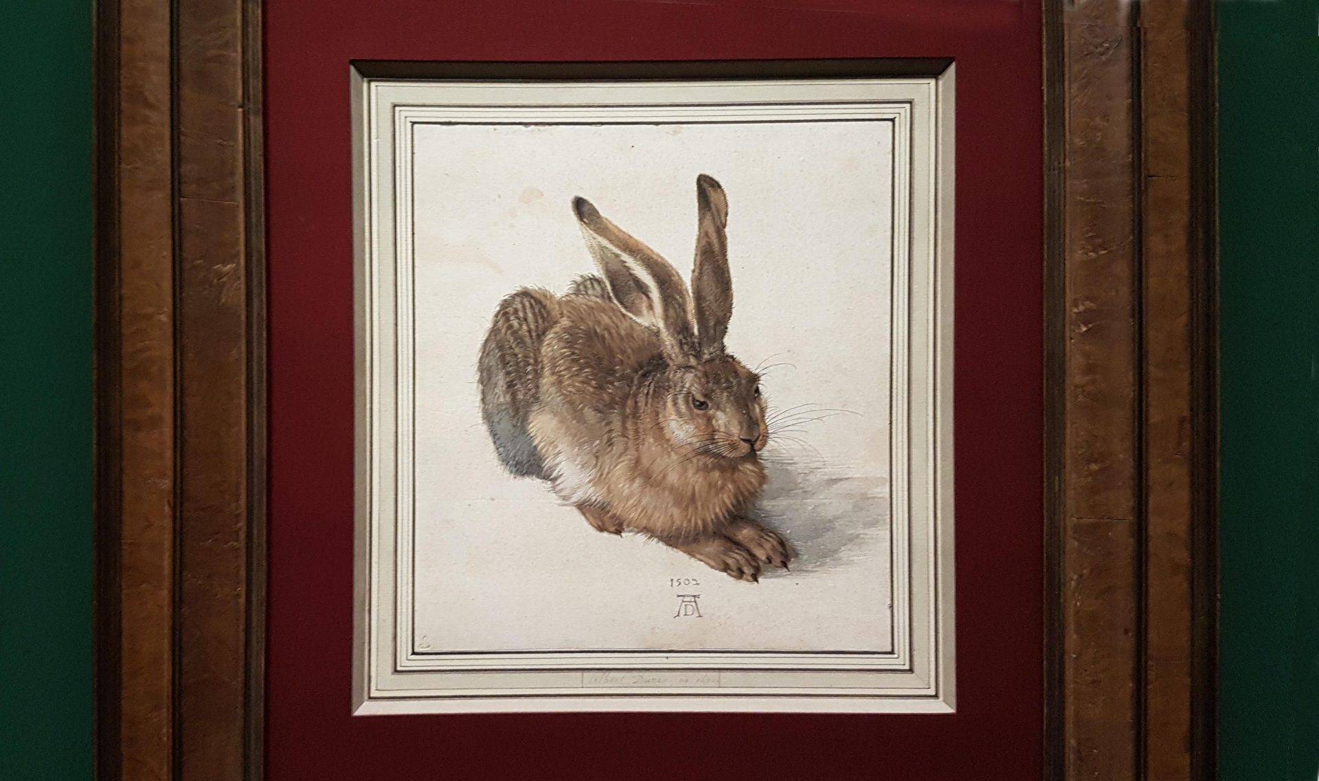 Art with me! Vienna Albrecht Dürer's Exhibition in the Albertina Gallery.